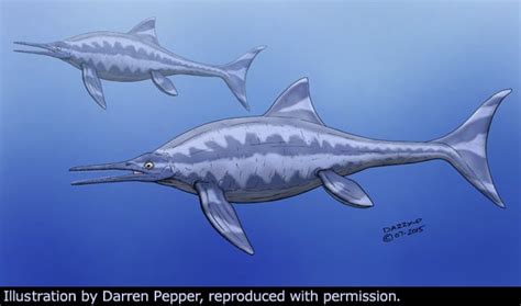 Ichthyosaurus Alchetron The Free Social Encyclopedia