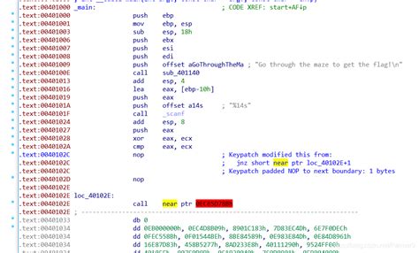 re学习笔记（34）buuctf re [hdctf2019]maze 花指令去除 ctf re 花指令清除 csdn博客