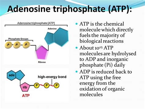 Atp Definition