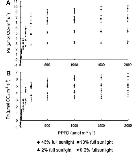 Light Response Curves Of Photosynthesis For Seedlings Of A Canarium