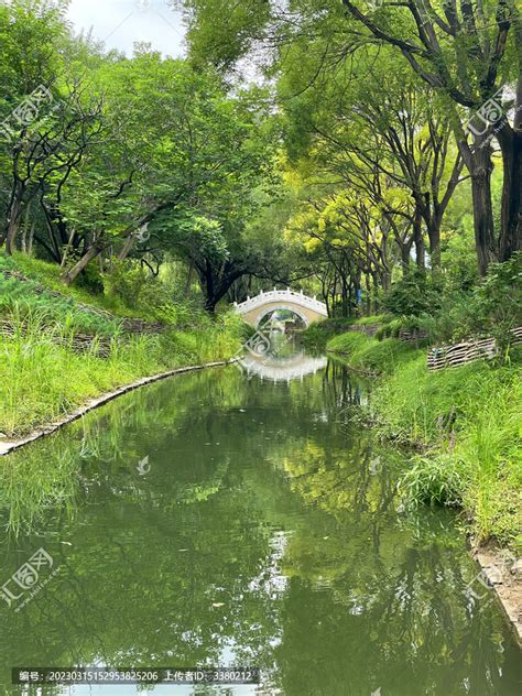 绿树倒影 其它 自然风景 摄影素材 汇图网www huitu