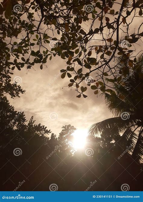 Sunset Aesthetic Light Photograph Couple Beach Sea Ocean Darksky Paint