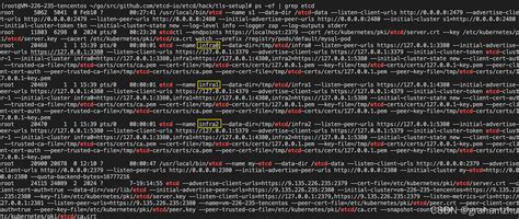 Kubernetes控制平面组件：etcd高可用集群搭建 Csdn博客