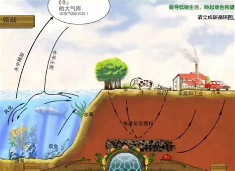 重磅中国农业分布地图及污染现状 土壤改良 新农资360网 土壤改良 果树种植 蔬菜种植 种植示范田 品牌展播 农资微专栏