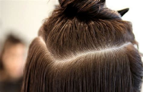 Conoce Las Claves Para Lucir Un Cabello Perfecto Alimenta Y Cura