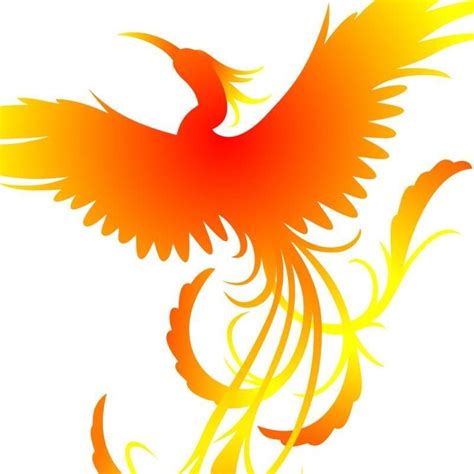 Asociația Phoenix Craiova