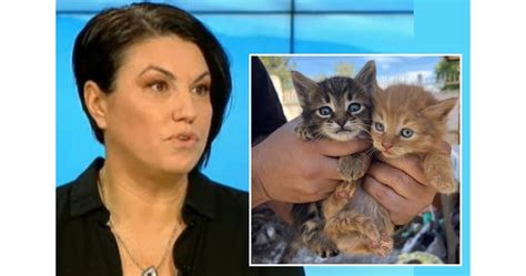 Промени в Наказателния кодекс предвиждат Биеш куче лежиш 4 г в затвора