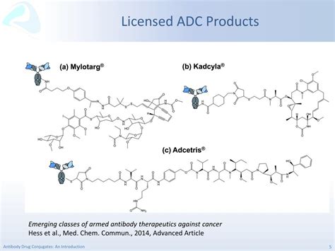 Ppt Introduction To Antibody Drug Conjugates Adc John Milne Phd