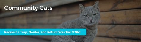 Community Cats Program