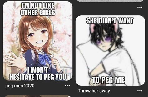 Peg Men 2020 Im Not Like Other Girls Memes Cute Memes