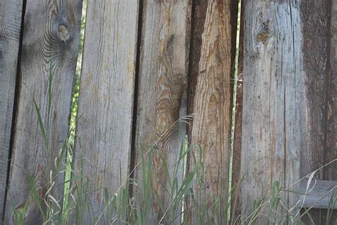 Old Wood Background Log Texture Photo And Picture For Free Download