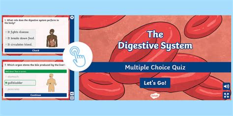 Interactive KS Digestive System Quiz Twinkl Go Twinkl