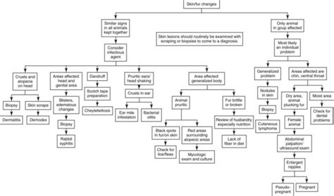 Polyphagia Veterian Key