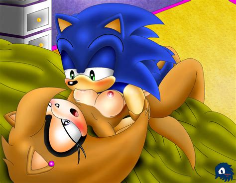 Rule 34 2011 Big Breasts Bigdon1992 Breasts Female Hedgehog Male
