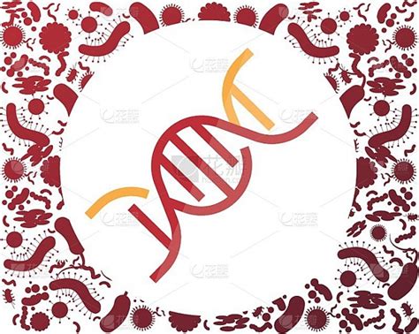 基因工程科学与医学的概念。科学旗帜，海报的设计元素。
