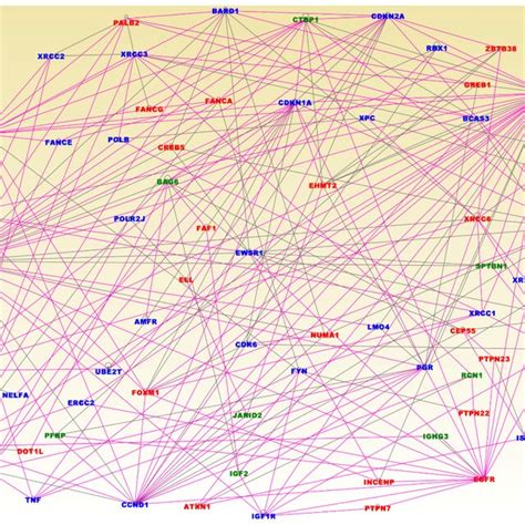 Gene Regulatory Networks Of Functionally Related Genes Enriched For