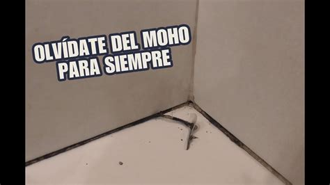 ELIMINO EL MOHO DE LA DUCHA PARA SIEMPRE Todo Lo Que Tienes Que Saber