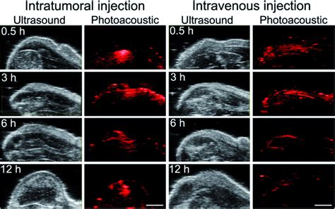 Fig S3 Pa Signal Characteristics Of Srfclnd2pda Nps A Pa