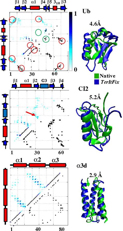 De Novo Prediction Of Protein Folding Pathways And Structure Using The Principle Of Sequential