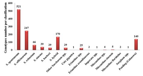 1genotypic Classification Of The World Collection Of Sugarcane And