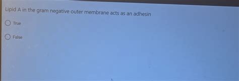 Solved Lipid A ﻿in The Gram Negative Outer Membrane Acts As