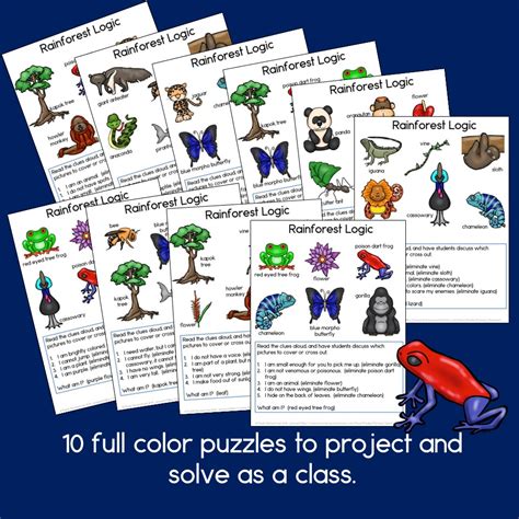 Rain Forest Math Logic Puzzles Critical Thinking Enrichment Activities Made By Teachers