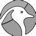 Linux API Developer Docs APIs SDKs And Auth API Tracker
