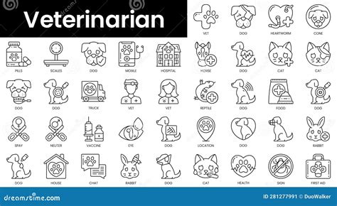 兽医大纲图标集 极简薄线性web图标集 矢量图插图 向量例证 插画 包括有 国内 行业 281277991