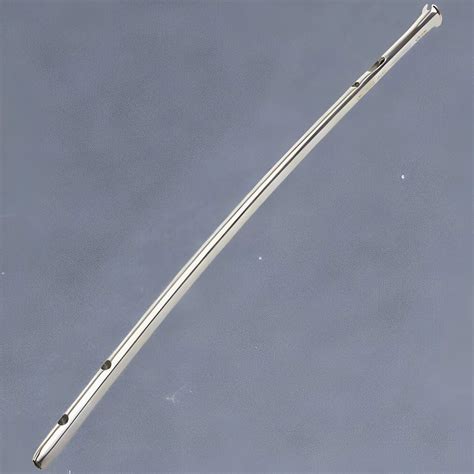 Interlocking Femur Nail At ₹ 2500piece Femoral Nail In Rajkot Id