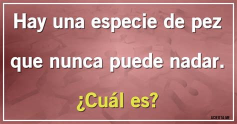 Hay Una Especie De Pez Que Nunca Puede Nadar ¿cuál Es