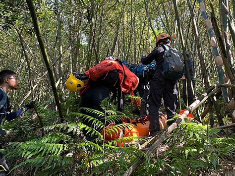 不斷更新／瑞芳登山客慘遭虎頭蜂螫4重傷2人ohca 3消防員也被圍攻 中廣新聞網 Line Today
