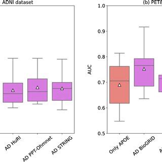 Boxplots Showing The AUC Distribution On The Validation Set For