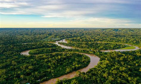 Explore The Largest Forest In The World