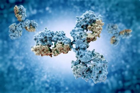 Magnetic Beads Antibody Conjugation Sepmag