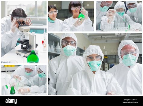 Collage Of Laboratory Workers Stock Photo Alamy