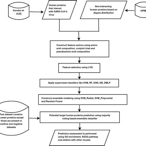 Block Diagram Of Proteineprotein Interaction Prediction Methodology