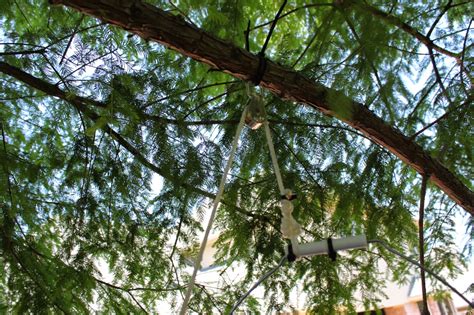 Crafty Texas Girls Build A Tree House