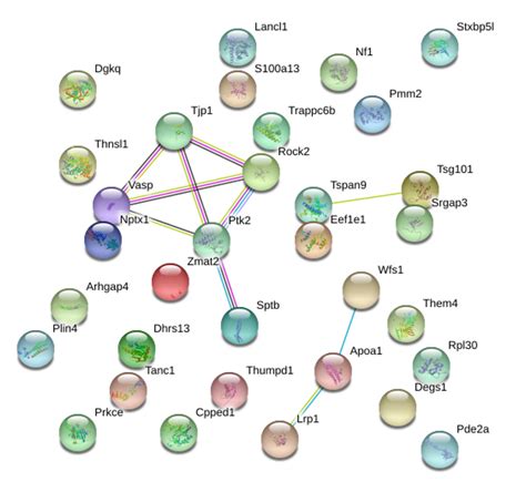 Itraqplus™ 标记定量蛋白质组学检测分析 Aigenx 云杰生物