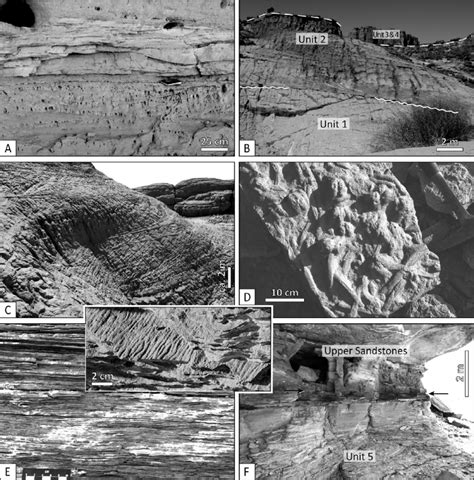 Depositional Facies In The Lower Sandstones And Bedo Fm A A Download Scientific Diagram