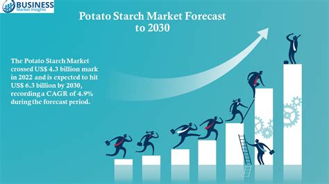 Ppt Potato Starch Market Powerpoint Presentation Free To Download