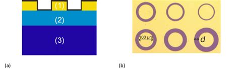 A A Cross Section Of A Sample Based On The Metal Graphene Where 1 Download Scientific