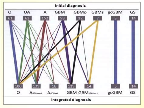 Glioma Molecular Markers Pptx