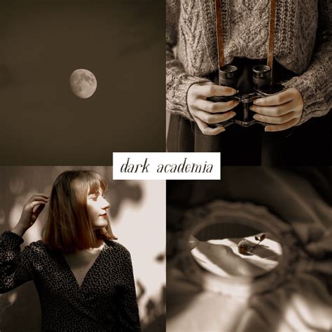 Dark Academia Lightroom Preset Filtergrade
