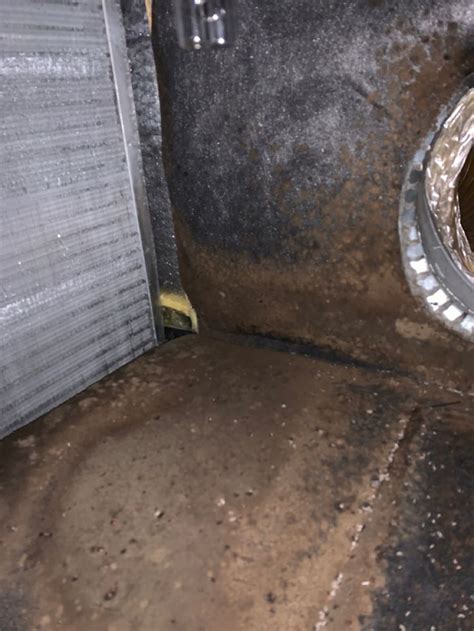 Mold Inside The Plenum Box