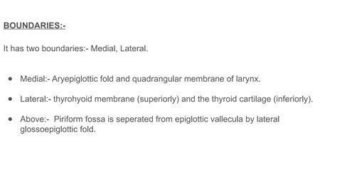Piriform Fossa Piriform Fossa Anatomy Pptx