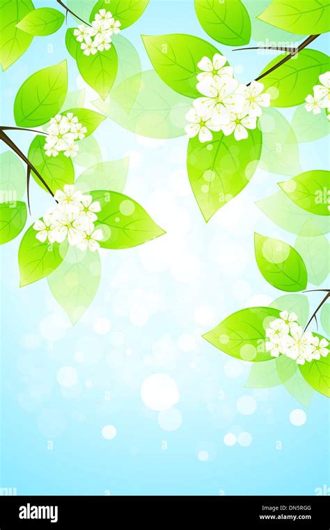 Tree Foliage Background Stock Vector Images Alamy