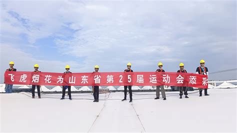 山东省运会烟花燃放运动会开幕焰火燃放运动会开幕焰火烟花燃放公司 浏阳飞虎焰火燃放公司