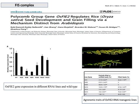 Polycomb Group Of Proteins Pptx