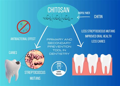 Streptococcus Mutans