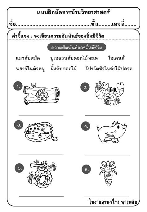 🎄แบ่งปันการบ้านปิดเทอมชั้น ป 5 ค่า ใบงานภาษาไทยพาเพลิน Facebook